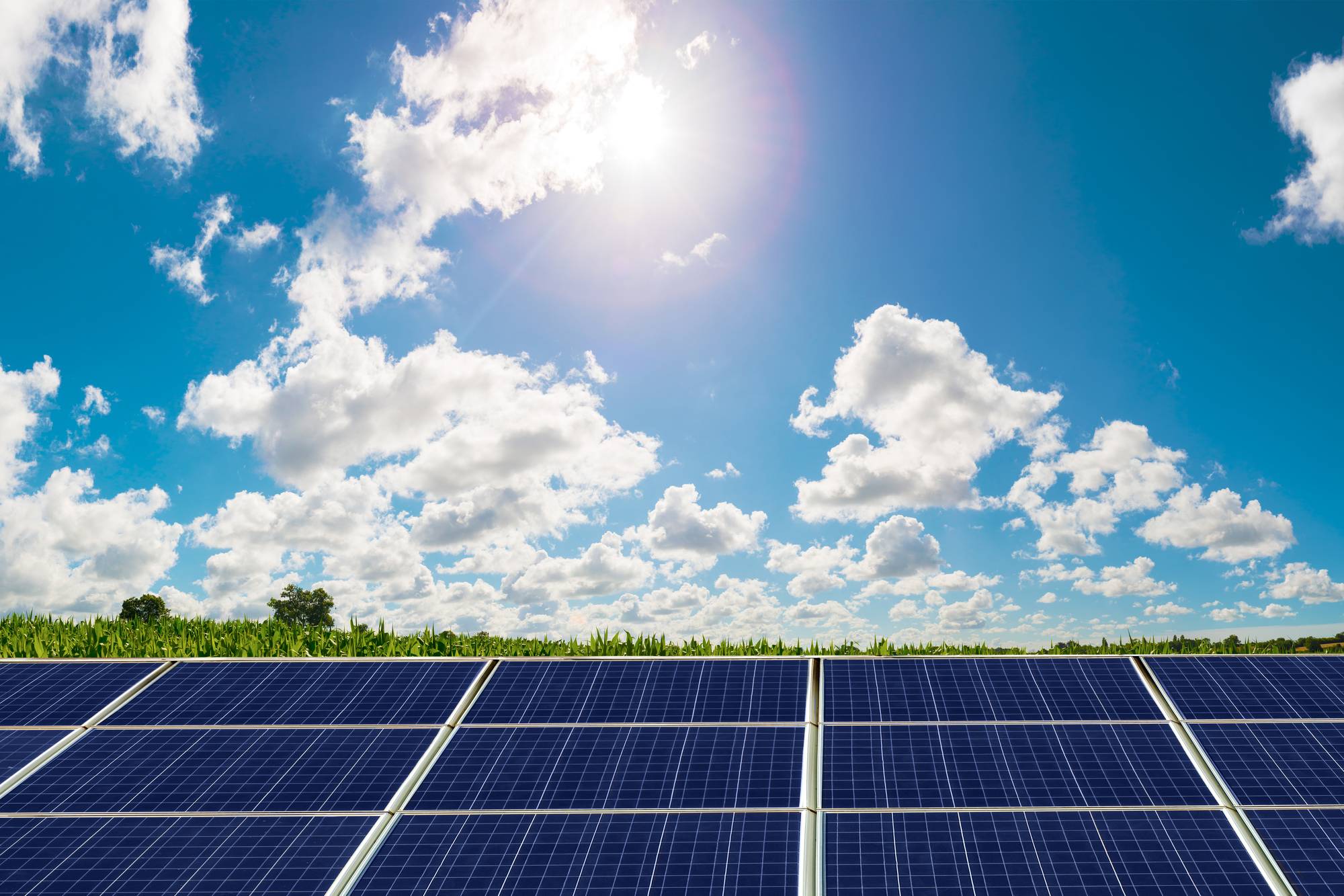 Can solar save British industry from the highest electricity costs in ...